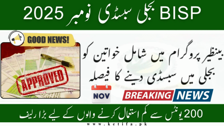 BISP Electricity Subsidy November 2025 – Monthly Discount on Bills for ...